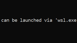 Windows Subsystem for Linux (WSL) / Windows Subsystem for Linux ...